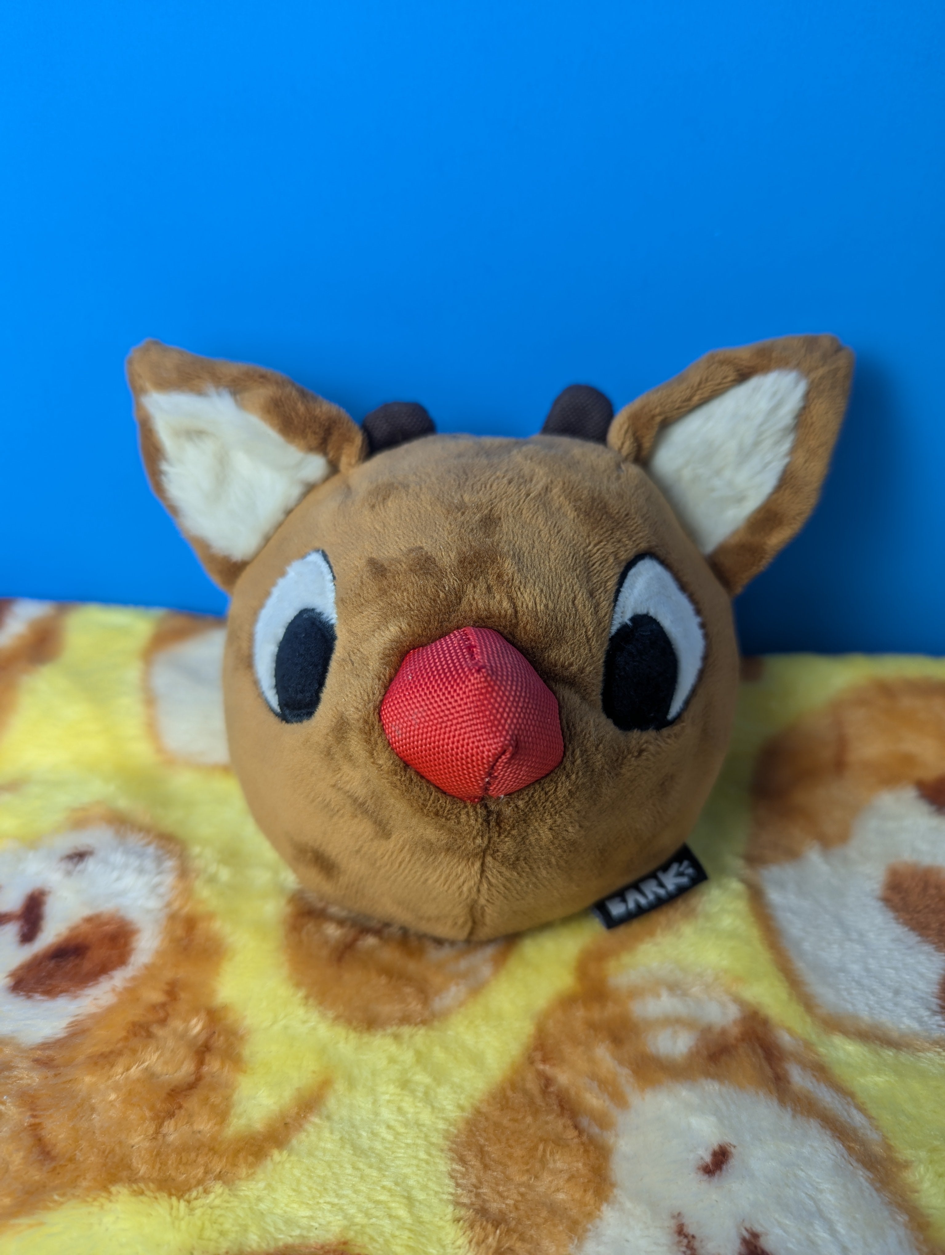 Barkbox Reindeer Games Rudolph – Wesley's Treasures